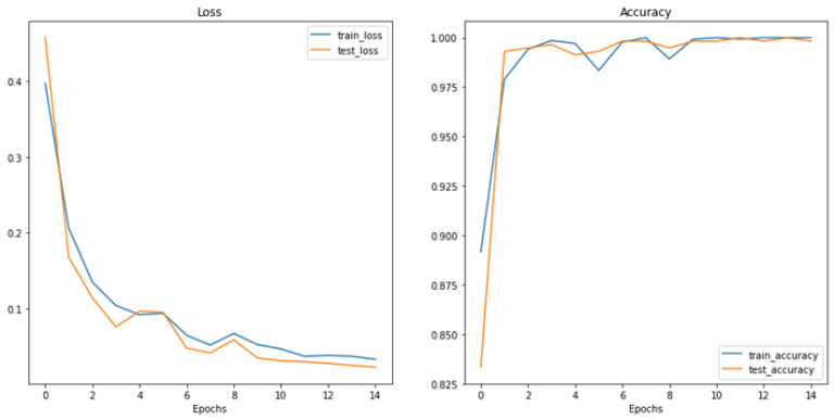 The Effectiveness of CNN in Evaluating Ultrasound Image Datasets ...